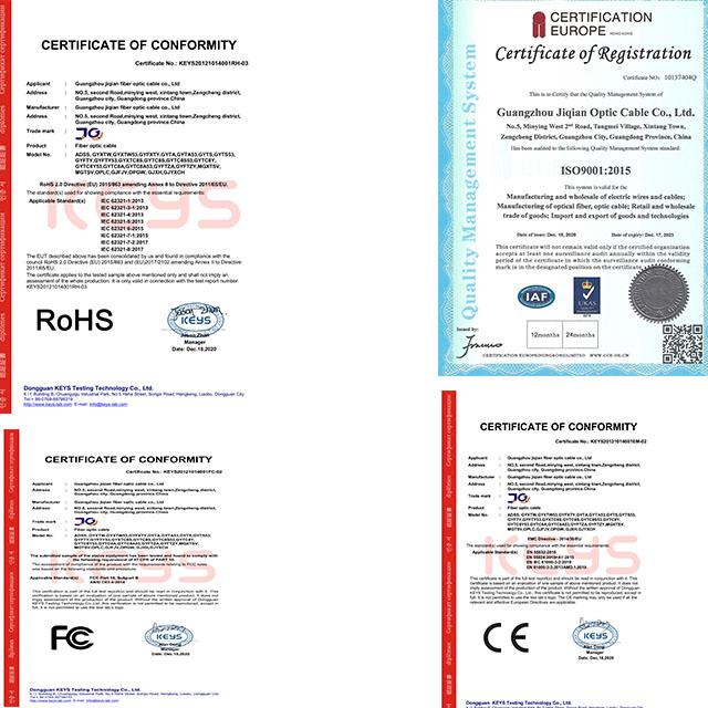 G657A2 Self Supporting 2 4 Cores FTTH Fiber Optic Drop Cable
