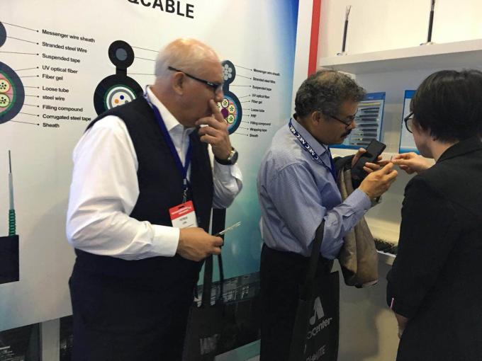 Double Jacket Single Mode Double Armoured G652d Fiber Optic Cable DJDA